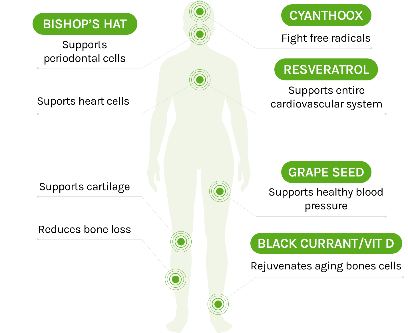 Green Valley Naturals